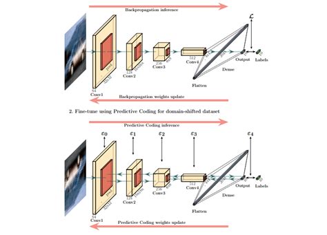 Predictive Coding Fine Tuning Enables Computationally Efficient Domain