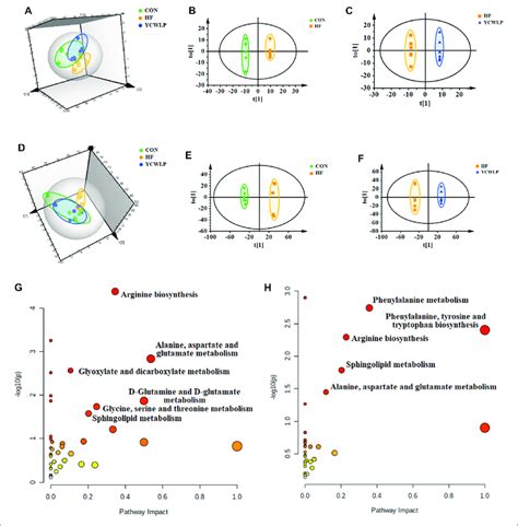 Multivariate Data Analysis And The Metabolic Pathway Analysis Of The