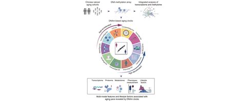 高程团队揭示干旱 植物 内生菌 病原菌互作的分子生态学机制 广州大健康医药研究院