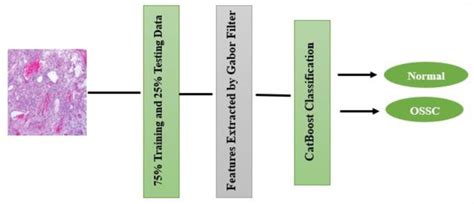 Developed Methodology For Features Extraction Through Gabor And