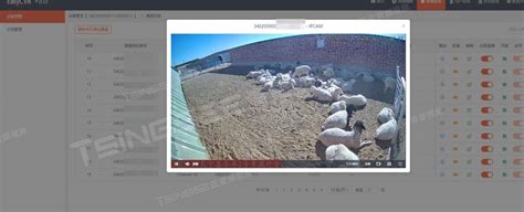智慧养猪场视频ai智能监控与可视化管理方案 Csdn博客