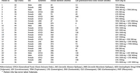 Age Sex And Clinical Details Of The 26 Epilepsy Patients Download Scientific Diagram