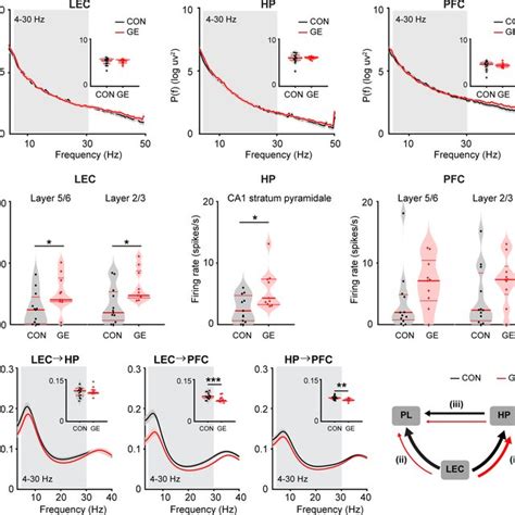 Long Range Monosynaptic Axonal Projections Connecting Neonatal Lec Download Scientific Diagram