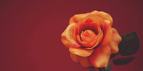 Numerical Love Notes By Ki The Reflectors Path