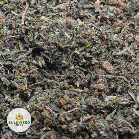 Buy Shake Weed Online Bulkweed N Box No1 Online Dispensary