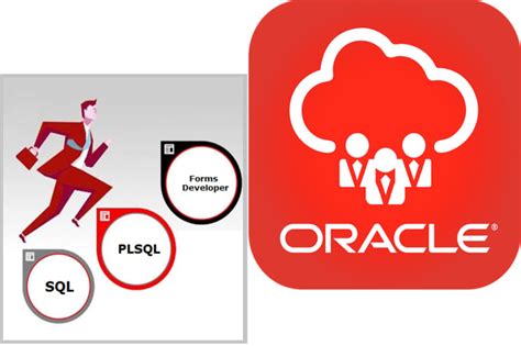 Do Oracle Plsql Package Procedure Function Trigger Wallet And Job