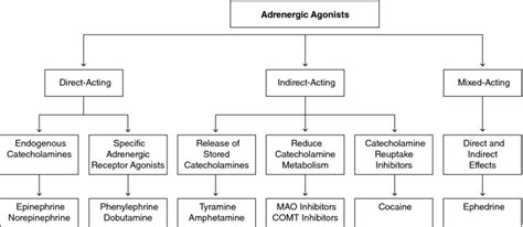 Adrenergic Receptor Agonists And Antagonists Veterian Key