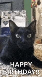 Cat Singing Happy Birthday S Tenor