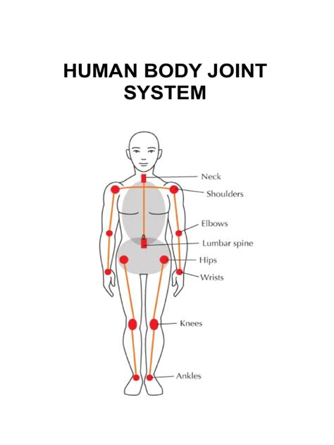 Human Body Joint System Pdf