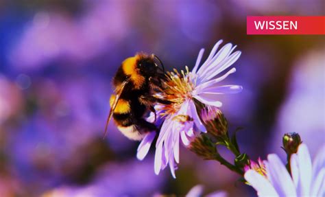 dependency injection mit javascript eyeworkers gmbh karlsruhe