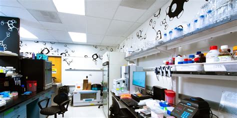 Wet Lab Dry Lab And Office Space The Difference And What You Need Bonneville Labs