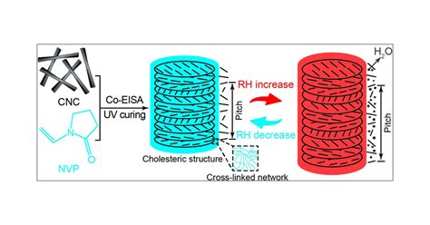 Bioinspired Cholesteric Photonic Crystals With 3d Cross Linked Network