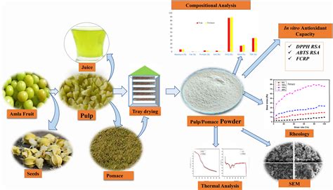 International Journal Of Food Science And Technology Vol 58 No 10