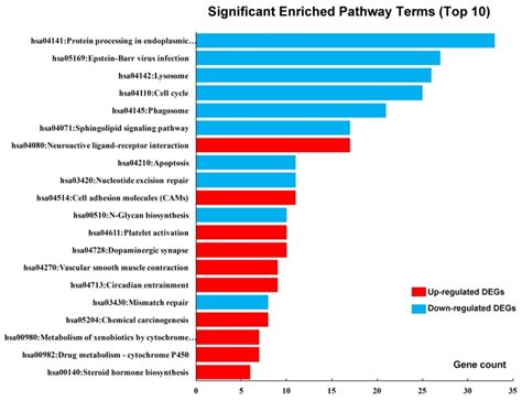 The Chemokine Receptor Ccr1 Is Identified In Mast Cell Derived Exosomes Abstract Europe Pmc