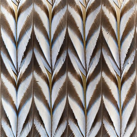 Premium Ai Image Feather Pattern