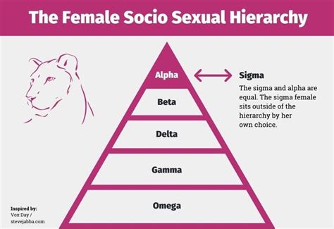 The Sigma Female Explained Traits Characteristics More