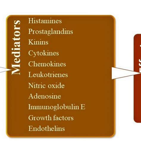 Inflammatory And Structural Cells Involved In Asthma Inflammation Download Scientific Diagram