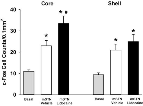 Figure 4 From Impact Of Medial Orbital Cortex And Medial Subthalamic