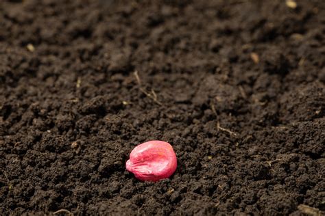 Seed Treatment Albaugh Post Patent Products