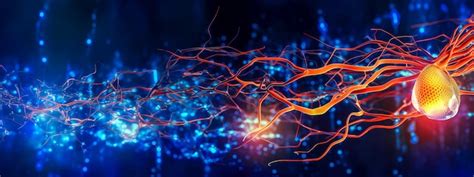 Premium Ai Image Innovative Neural Networks And Artificial Intelligence Machine Learning