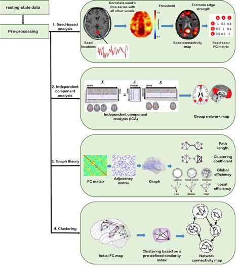 Figure 1 From Neonatal Brain Resting State Functional Connectivity Imaging Modalities Semantic