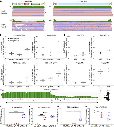 Targeted Long Read Sequencing Captures Crispr Editing And Aav