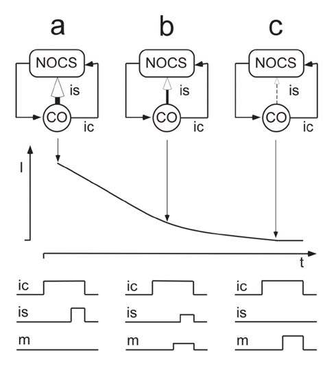 Minimization Of Initiating Signal During Learning A B C The Download Scientific