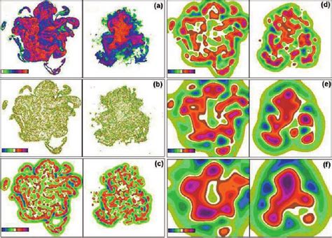 Colour Coded Contour Intervals Of Wavelet Transform Coef Fi Cients Of Download Scientific