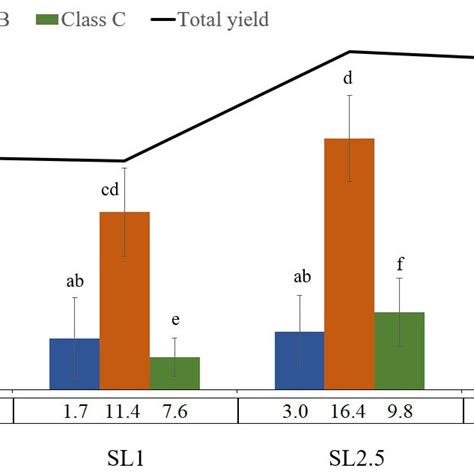 5 Functional Groups Commonly Found On Biochar Surfaces Download Scientific Diagram