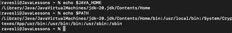 Начало работы с Java Установка в Windows Linux Macos Ravesli