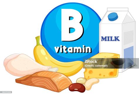 Educational Group Of Foods Containing Vitamin B Stock Illustration Download Image Now Art