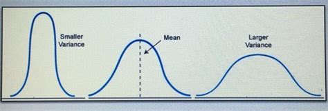 Lecture 6 Part Ii Shrinkage And Regularization Flashcards Quizlet