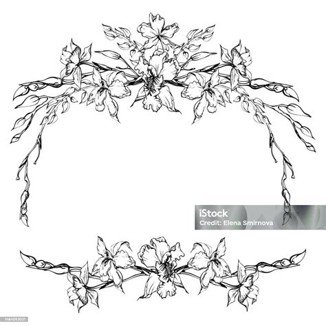 손으로 그린 벡터 잉크 난초 꽃과 가지 단색 자세한 개요 수평 프레임 구성 흰색 배경에 격리 벽 예술 결혼식 인쇄 문신 표지 카드를위한 디자인 꽃 식물에 대한 스톡 벡터
