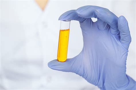 의학입니다 자연 유기 의학 및 의료 대체 식물 약 박격포 및 실험실 유리 그릇에 허브 추출 개발에 대한 스톡 사진 및 기타 이미지 Istock