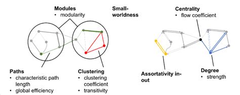 graph metrics calculated from ec and fc graphs categories of graph