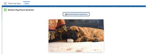 making rest api callouts using the lwc component