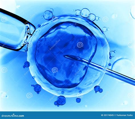 Artificial Insemination With Modern Technology Problem With