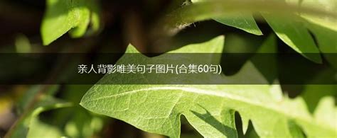 亲人背影唯美句子图片 合集60句