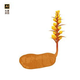中药天麻图片大全 中药天麻设计素材 中药天麻模板下载 中药天麻图库 昵图网 soso nipic