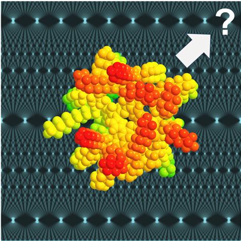 Universal Matter Wave Interferometry Across The Mass And Complexity