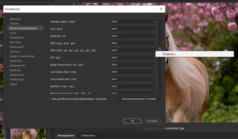 Solved Bridge Doenst Open Jpegs Anymore Adobe Community 12028504