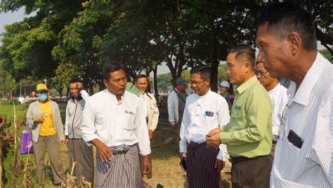 ပုဗ္ဗသီရိမြို့နယ်တွင် ဆောင်းနေကြာစံကွက် ရိတ်သိမ်း Information And Public Relations Department