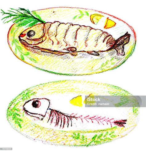 흰 바탕에 송어를 먹은 접시에 딜과 레몬이 있는 강 송어 구이 물고기에 대한 스톡 벡터 아트 및 기타 이미지 물고기 연필 건강한 생활방식 Istock