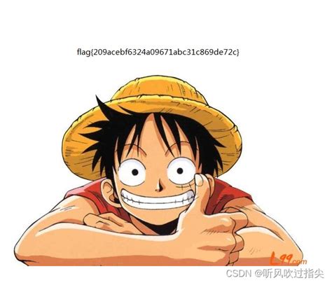 数据包中的线索 Csdn博客