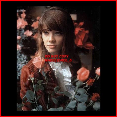 Francoise Hardy French Singer Actor Sexy Hot Icon 8x10 Photo £996