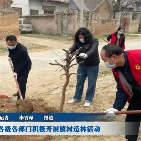 滑县各级各部门积极开展植树造林活动绿化建设全县