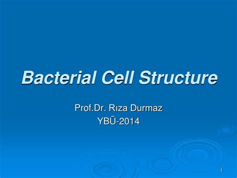 Ppt Bacterial Cell Structure Powerpoint Presentation Free Download Id