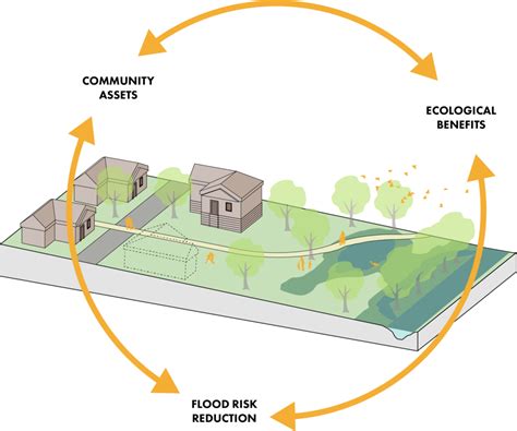 Work — Chestnut Bay Nature Based Flood Mitigation