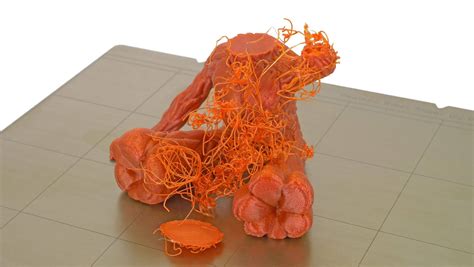 6 Common Mistakes In 3d Printing And How To Avoid Them Pick 3d Printer