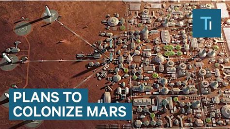Elon Musk 2024 Mars Nikki Analiese